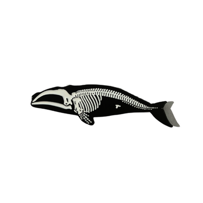 Moby Dick: Chiltern Classic – The New Bedford Whaling Museum