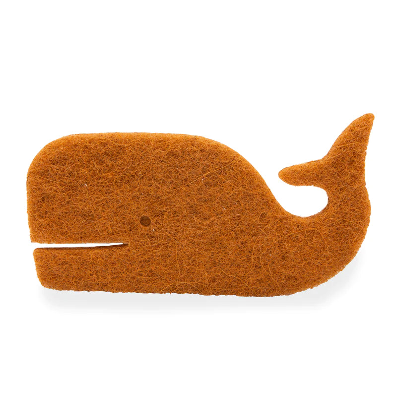 Whale Scrub Sponges – The New Bedford Whaling Museum